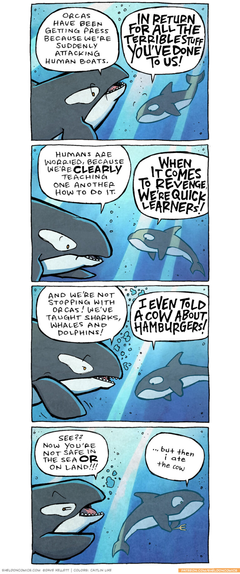 Orcas - Sheldon® Comic Strip