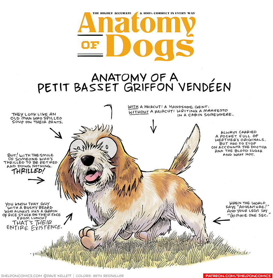 Anatomy of a Petit Basset Griffon Vendéen - Sheldon® Comic Strip