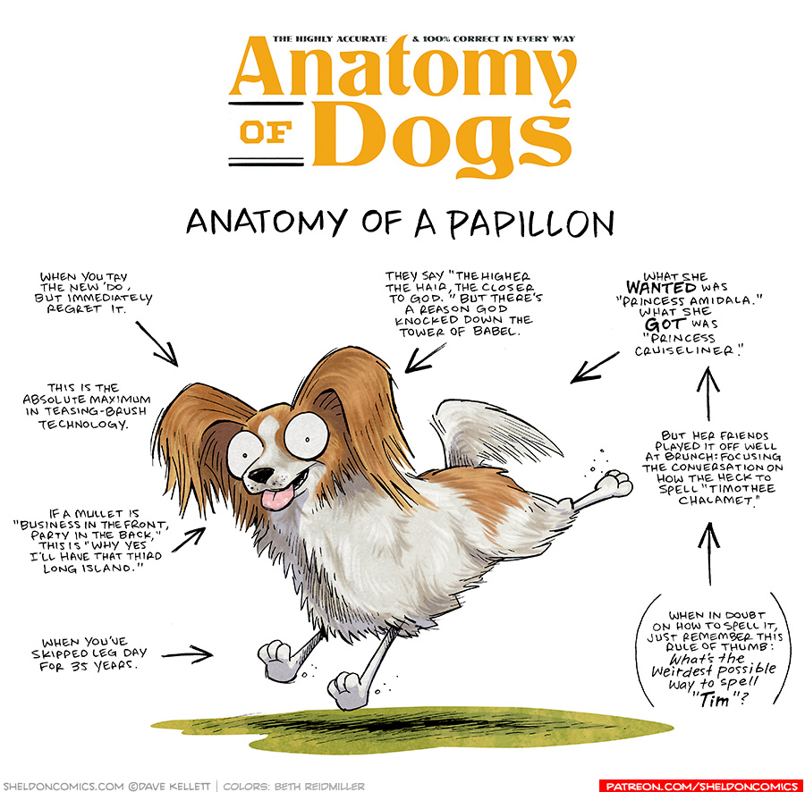 Anatomy of a Papillon - Sheldon® Comic Strip