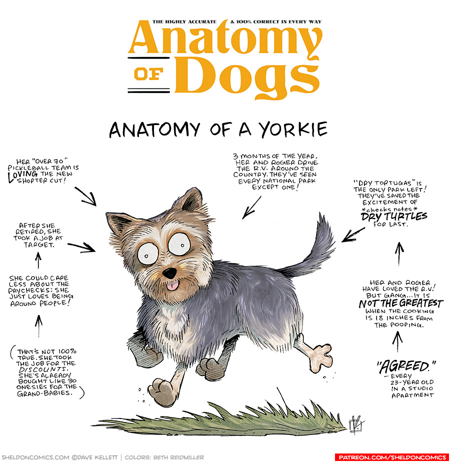 Anatomy of a Yorkie - Sheldon® Comic Strip