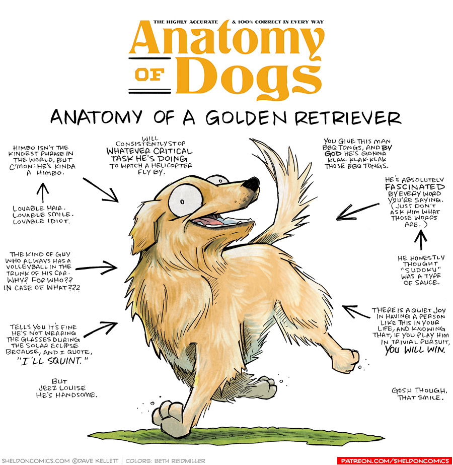 Anatomy of a Golden Retriever - Sheldon® Comic Strip