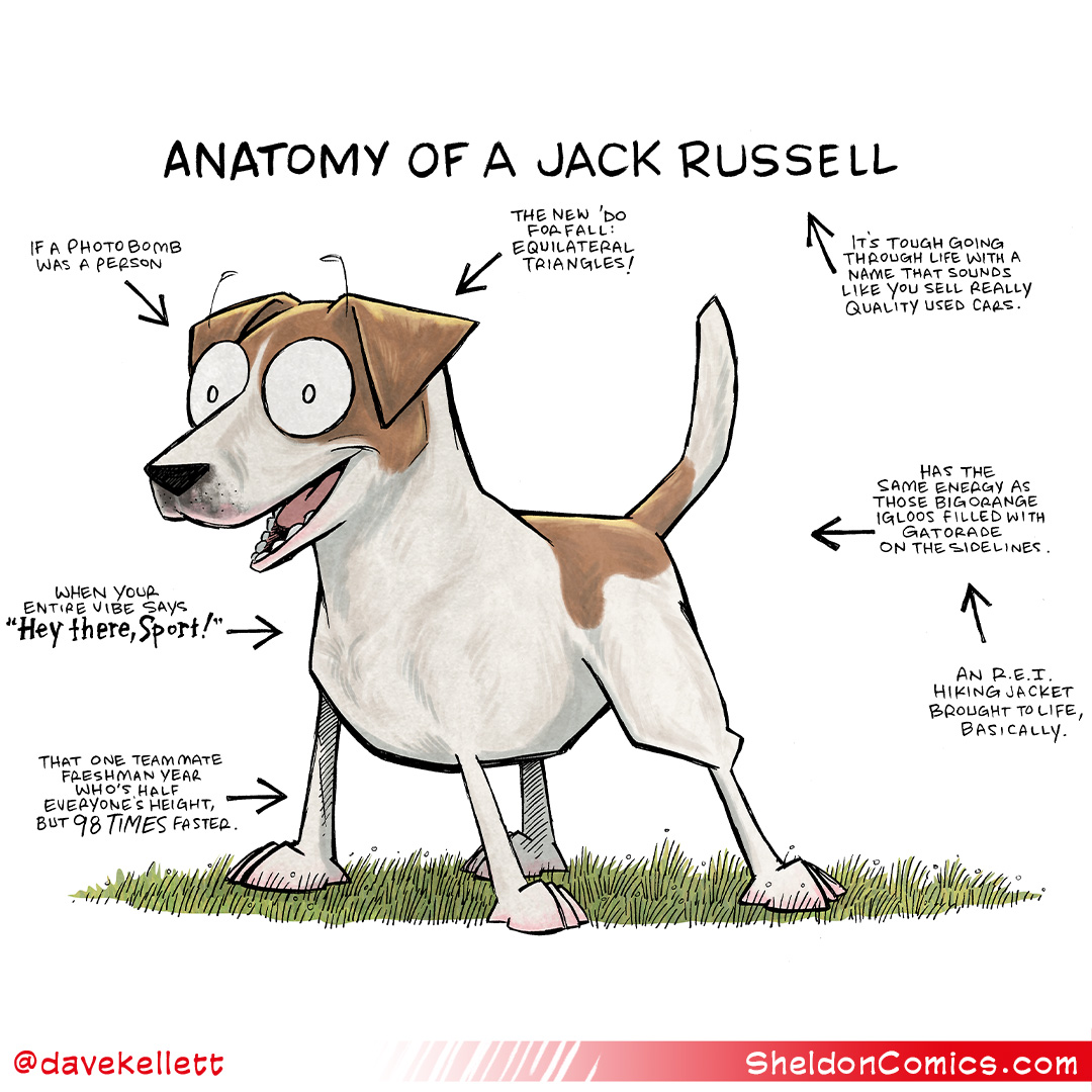 Anatomy of a Jack Russell - Sheldon® Comic Strip