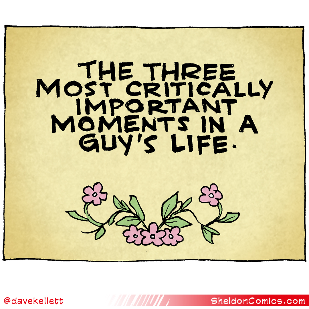 Critically Important - Sheldon® Comic Strip