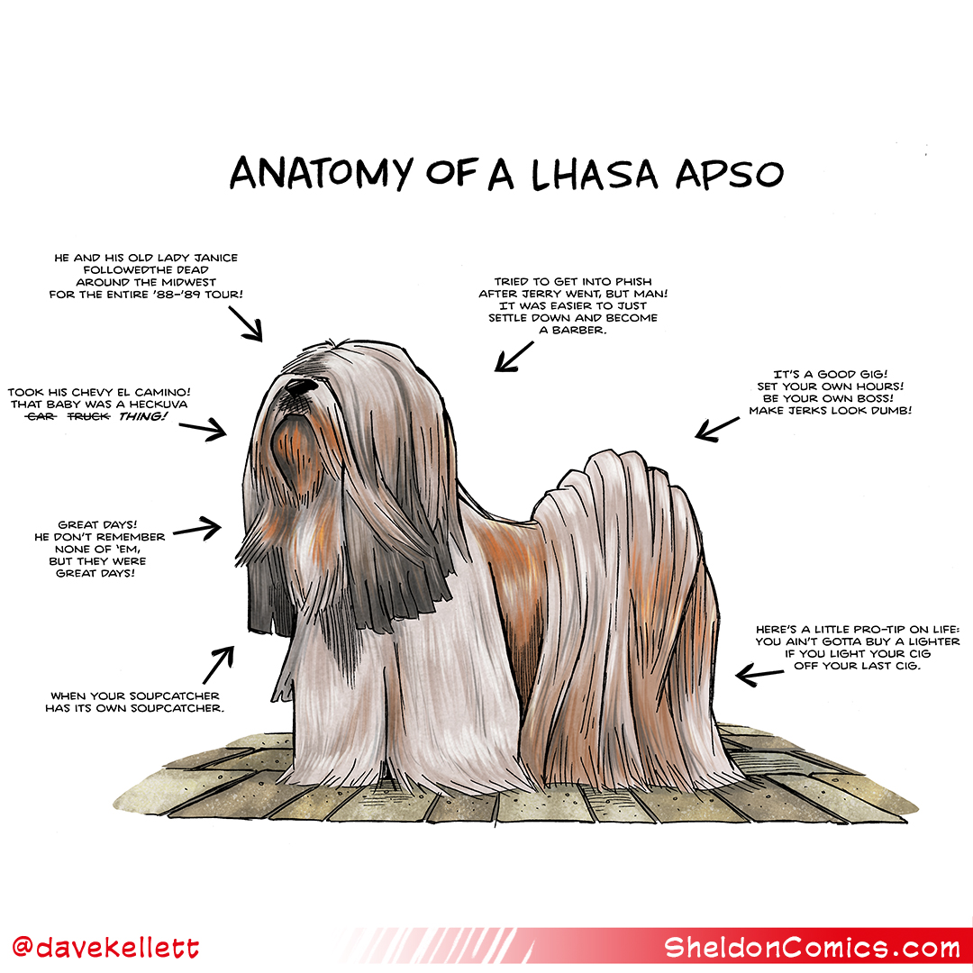 Anatomy of a Lhasa Apso - Sheldon® Comic Strip