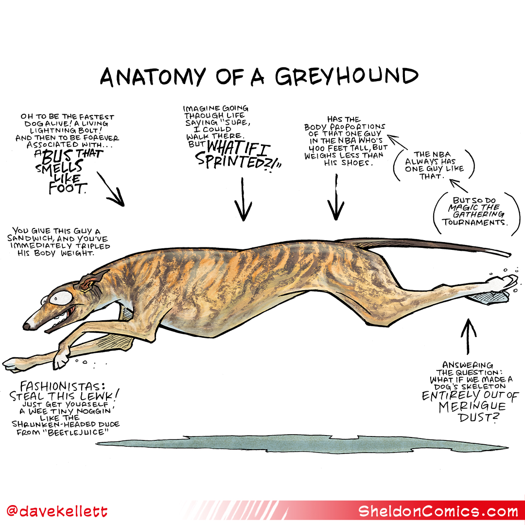 Anatomy of a Greyhound - Sheldon® Comic Strip