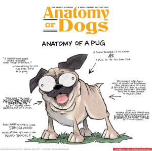 Anatomy of a Pug - Sheldon® Comic Strip