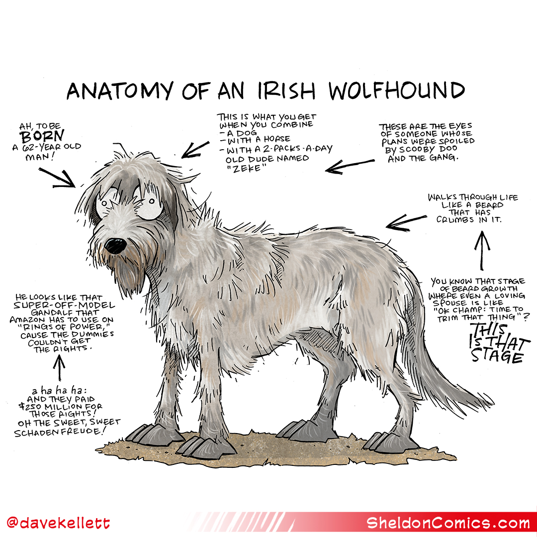 Anatomy of an Irish Wolfhound - Sheldon® Comic Strip