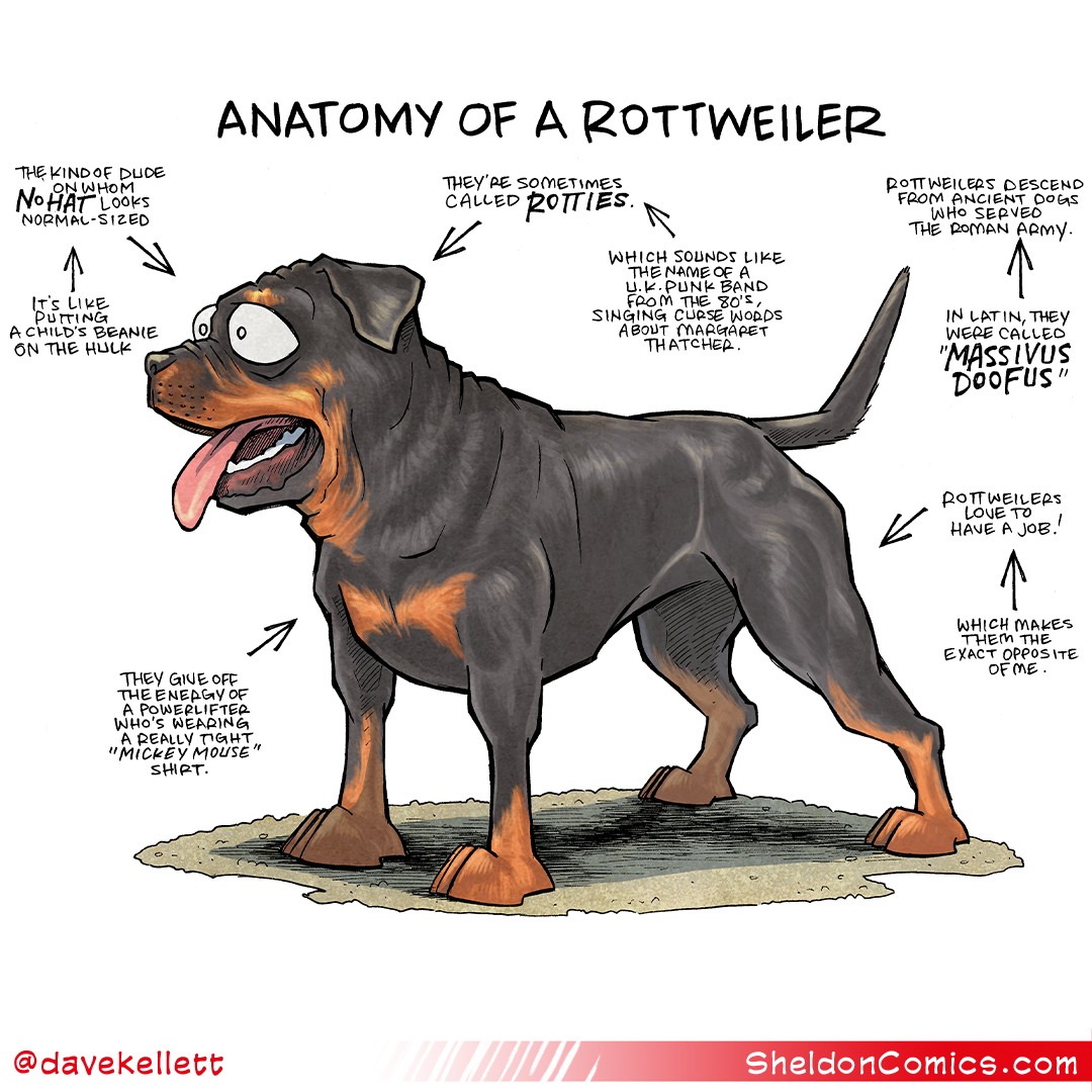 Anatomy of a Rottweiler - Sheldon® Comic Strip