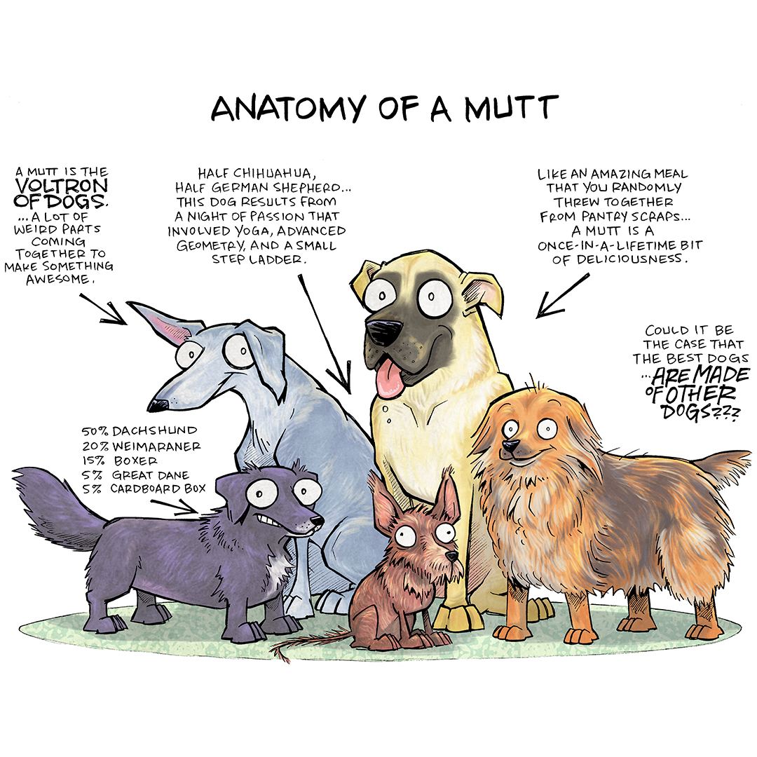 Anatomy of a Mutt - Sheldon® Comic Strip