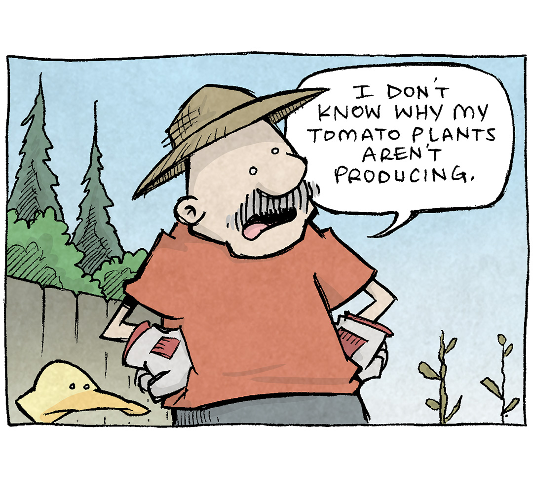 Tomato Plants - Sheldon® Comic Strip