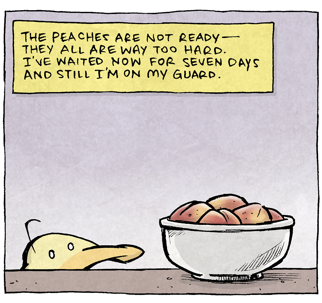 Healthy Snacks - Sheldon® Comic Strip