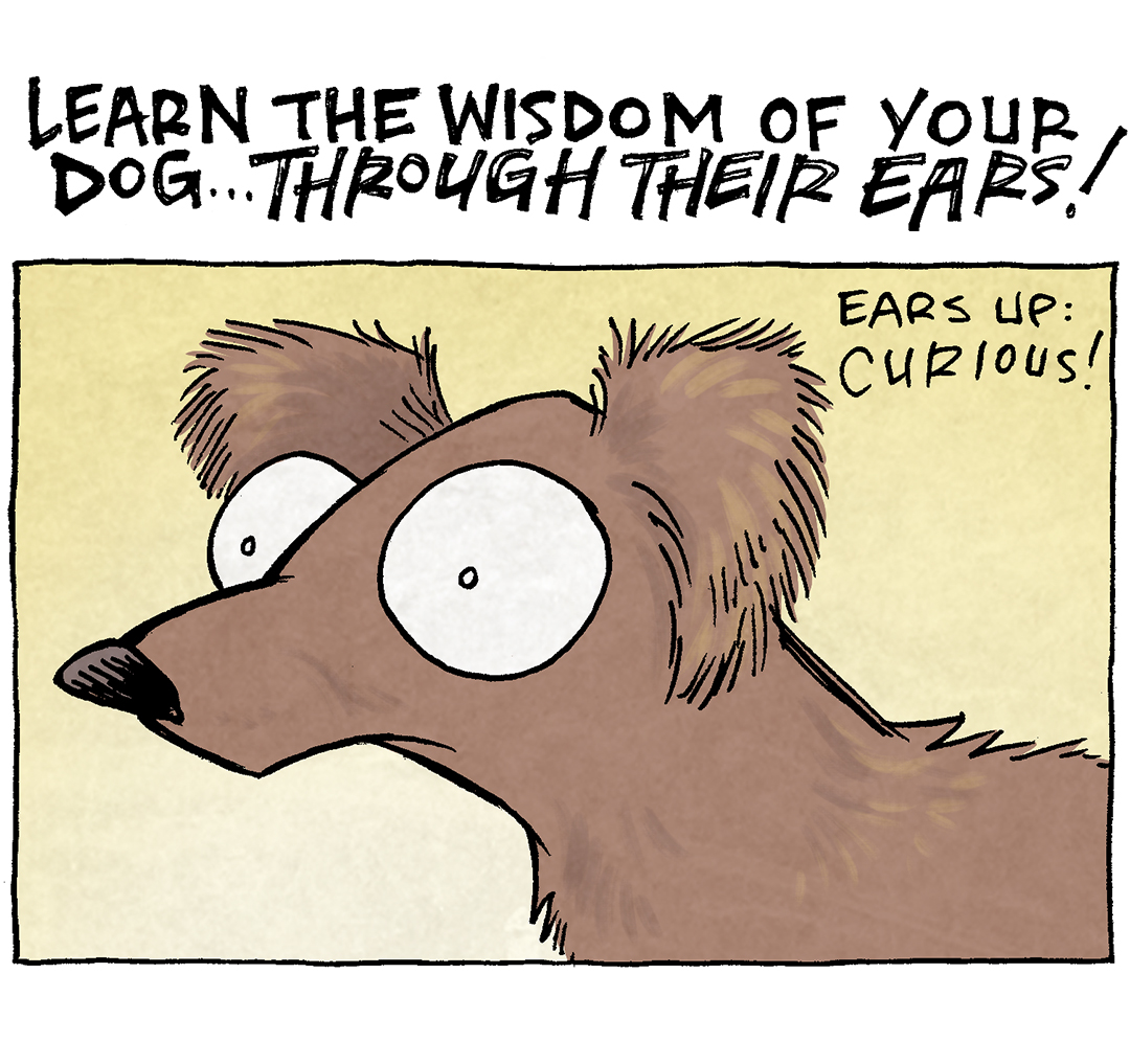 Dog's Wisdom - Sheldon® Comic Strip
