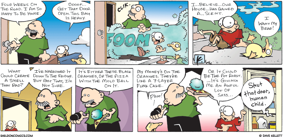 2005-08-14 - Sheldon® Comic Strip