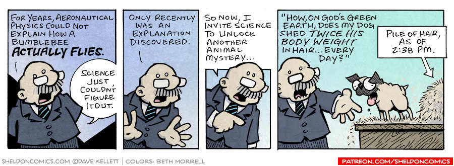 Developments in Aeronautical Physics - Sheldon® Comic Strip