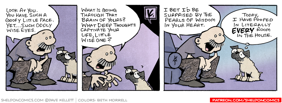 2006-11-24 - Sheldon® Comic Strip