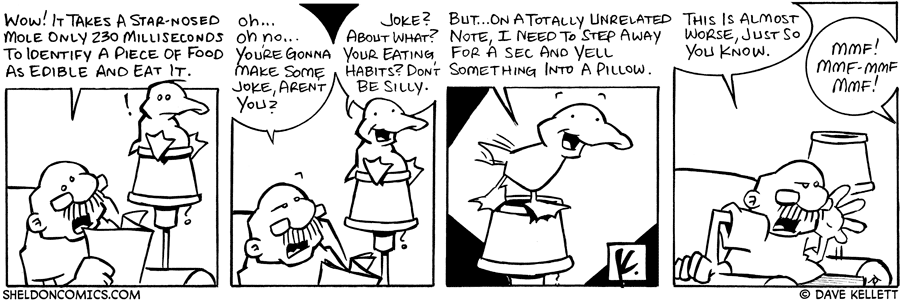 2006-12-28 - Sheldon® Comic Strip