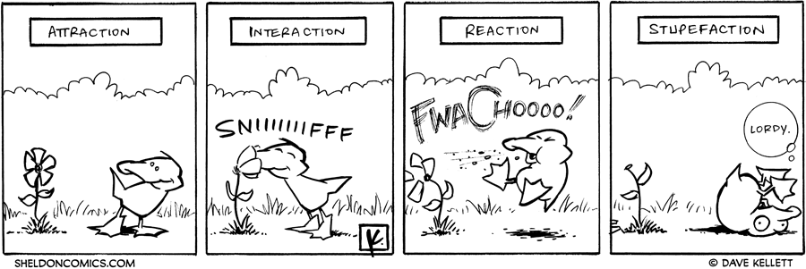 2007-05-21 - Sheldon® Comic Strip