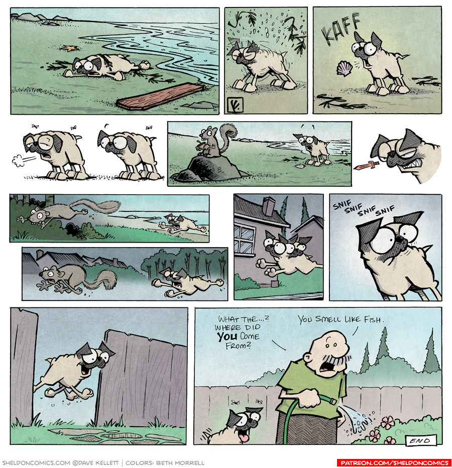 Will Oso make it home? - Sheldon® Comic Strip