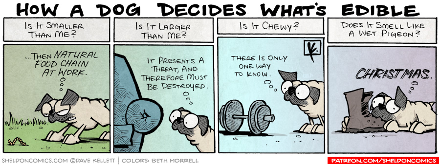 How does a dog decide what's edible? - Sheldon® Comic Strip