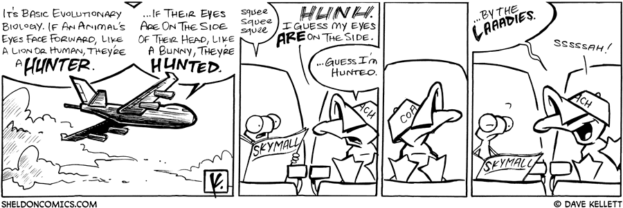 What is basic evolutionary biology? - Sheldon® Comic Strip