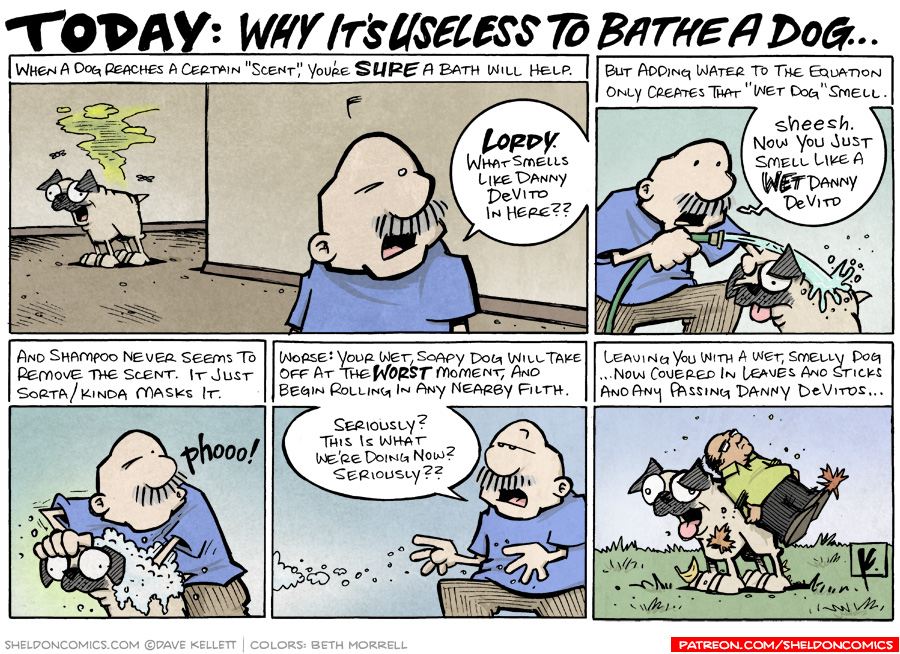 Why is it useless to bathe a dog? - Sheldon® Comic Strip