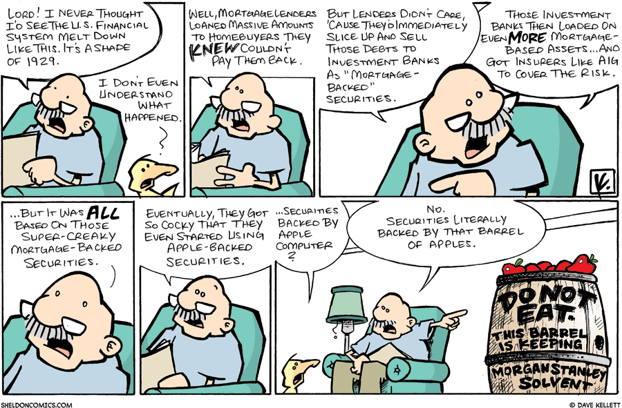What happened to the U.S. Financial system? - Sheldon® Comic Strip