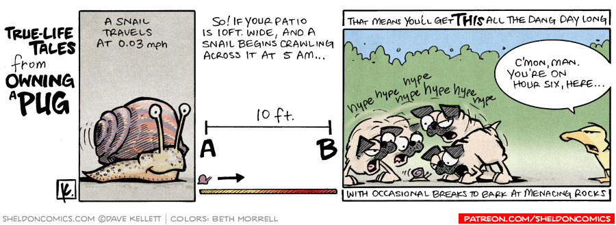 A snail and... - Sheldon® Comic Strip