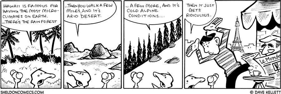 Hawaii is famous for... - Sheldon® Comic Strip