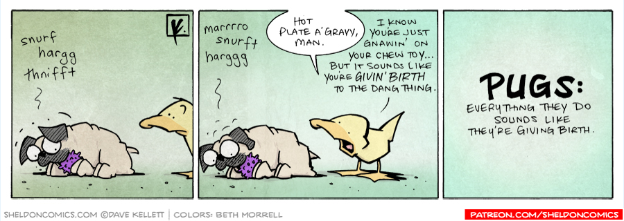 What is Oso doing? - Sheldon® Comic Strip