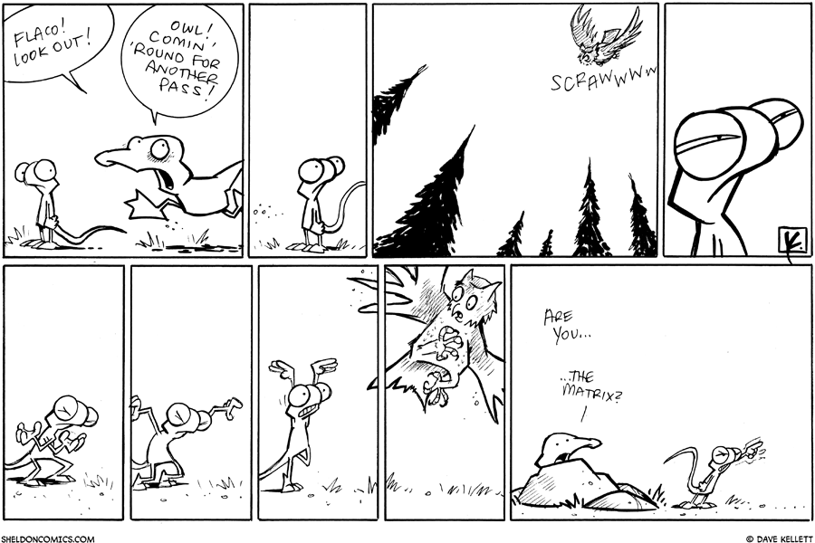 What's coming around for another pass? - Sheldon® Comic Strip
