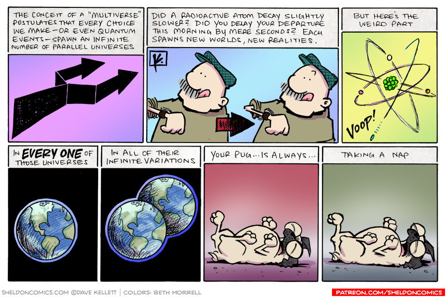 What is the conceit of a "Multiverse?" - Sheldon® Comic Strip
