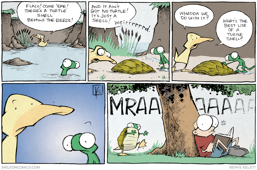 Turtle Power, part 1 - Sheldon® Comic Strip