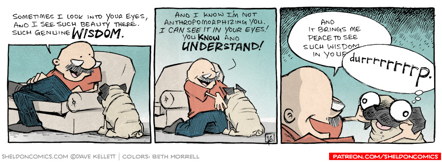 Can you see the wisdom in your dog's eyes? - Sheldon® Comic Strip