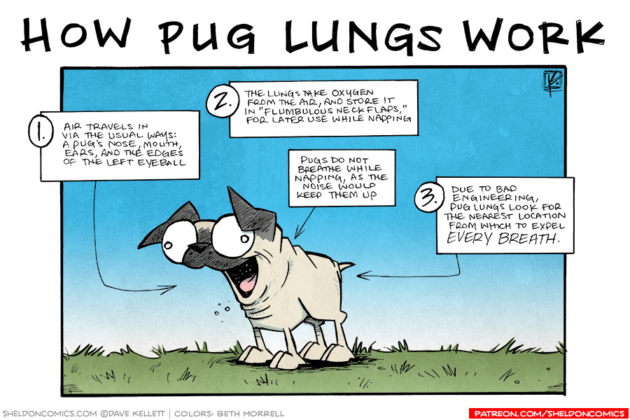 How Pug Lungs Work - Sheldon® Comic Strip