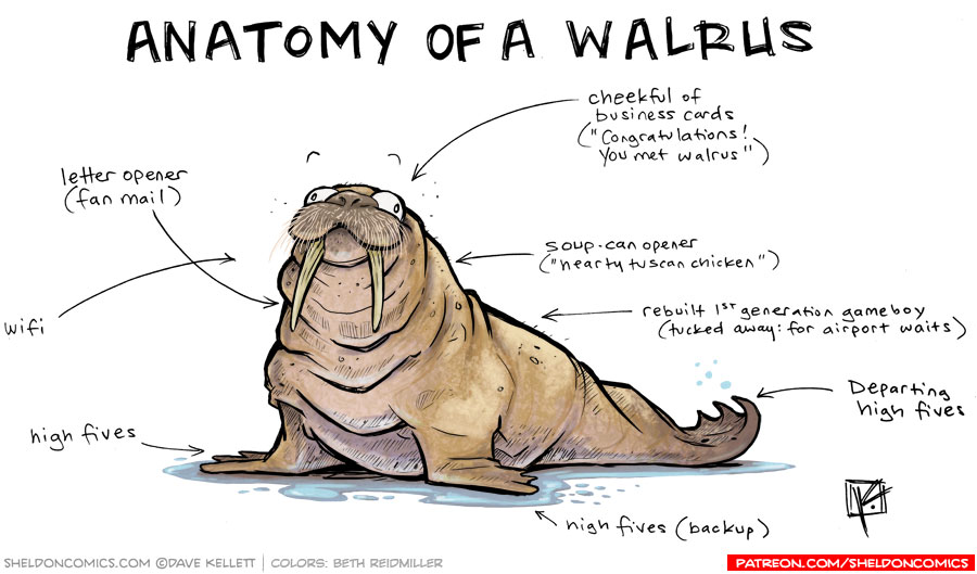 Anatomy of a Walrus - Sheldon® Comic Strip