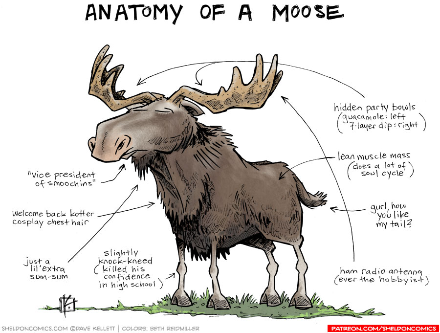 Anatomy of a Moose - Sheldon® Comic Strip
