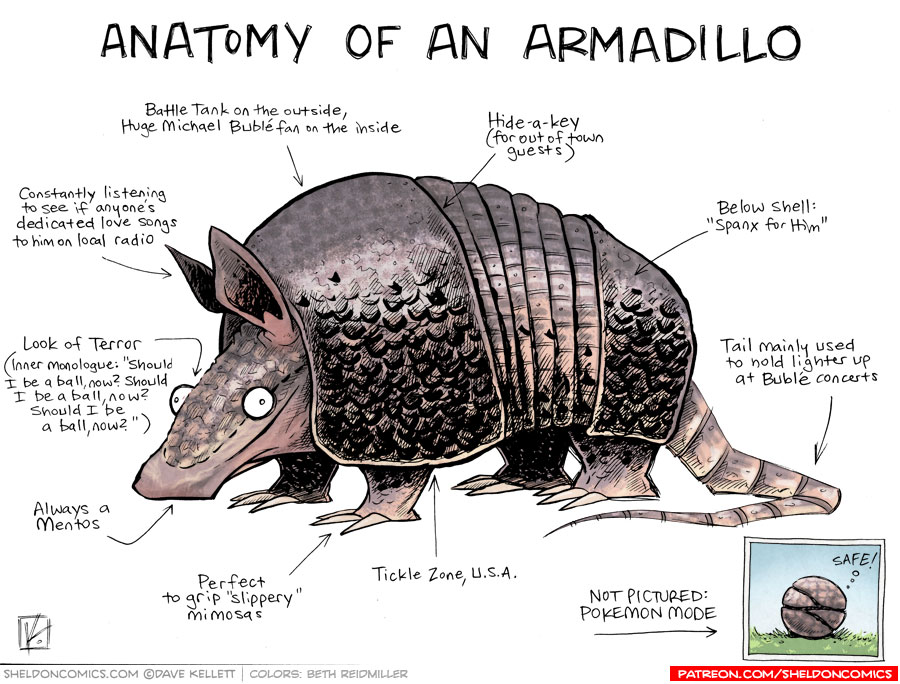 Anatomy of an Armadillo - Sheldon® Comic Strip