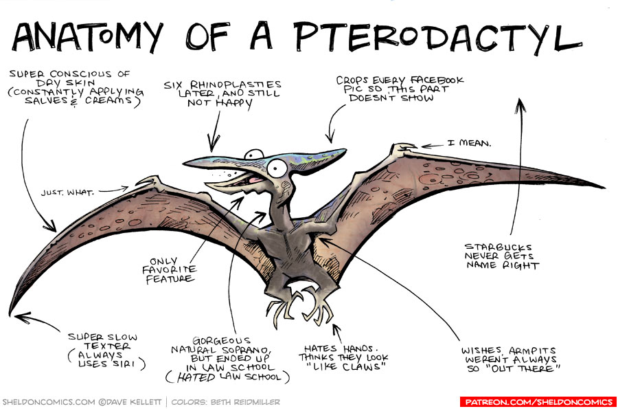 Pterodactyl Anatomy