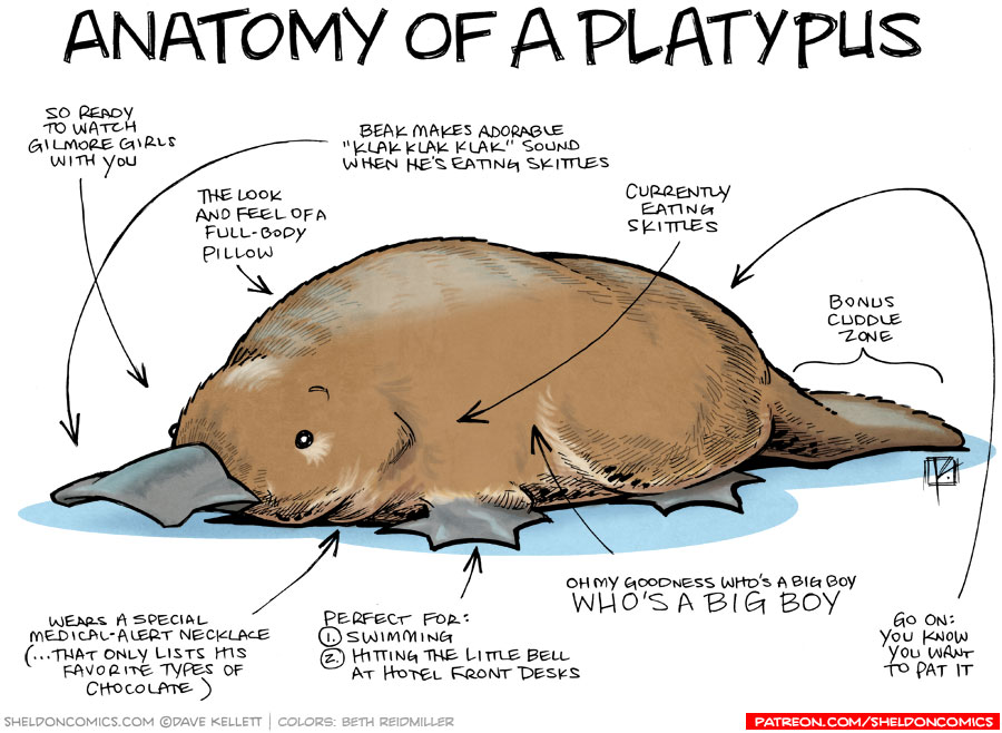 Anatomy of a Platypus - Sheldon® Comic Strip