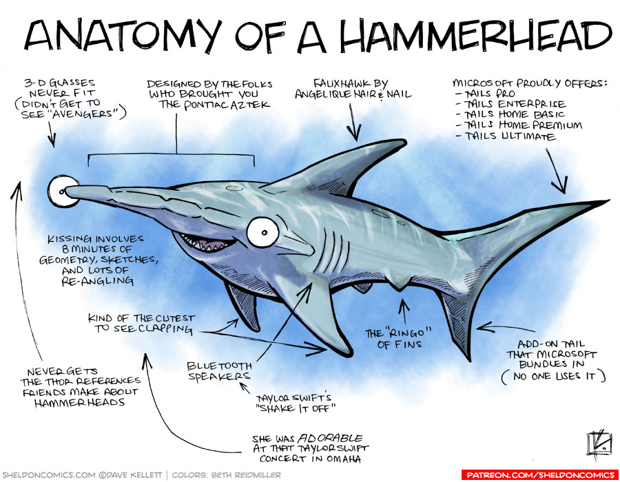 Anatomy of a Hammerhead - Sheldon® Comic Strip