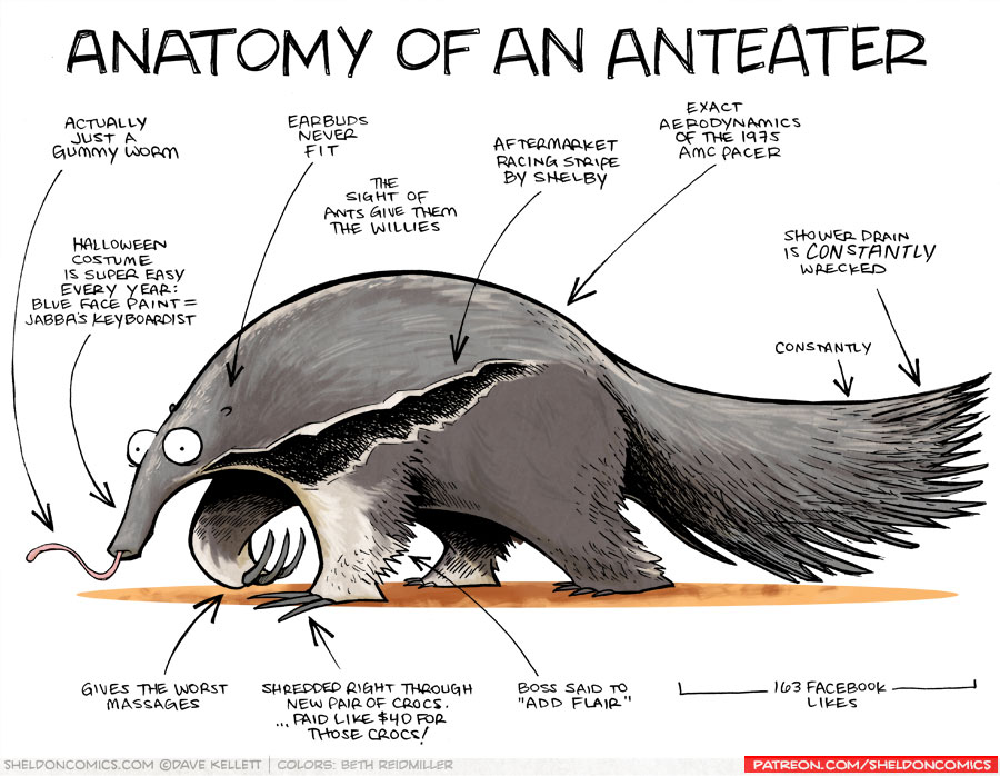 Anatomy of an Anteater - Sheldon® Comic Strip
