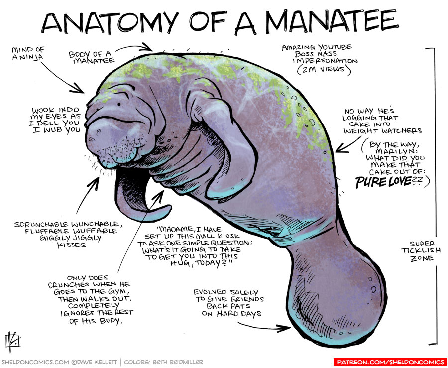 Anatomy of a Manatee - Sheldon® Comic Strip