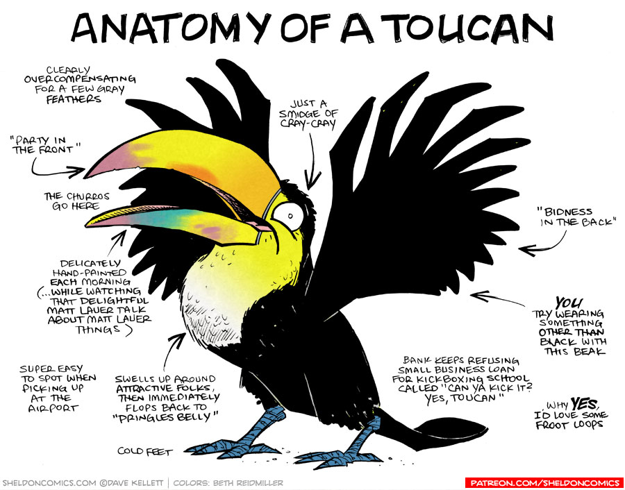 Anatomy of a Toucan - Sheldon® Comic Strip