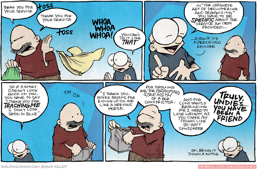 The Japanese Art of Decluttering & Organizing, pt 2 - Sheldon® Comic Strip