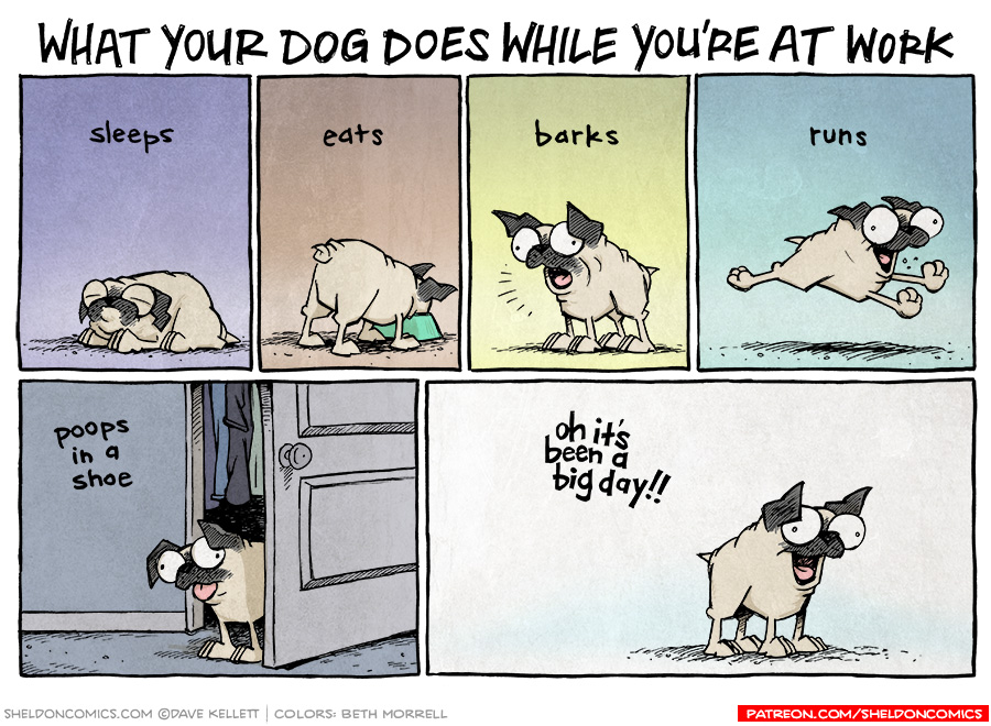 What Your Dog Does While You're At Work - Sheldon® Comic Strip