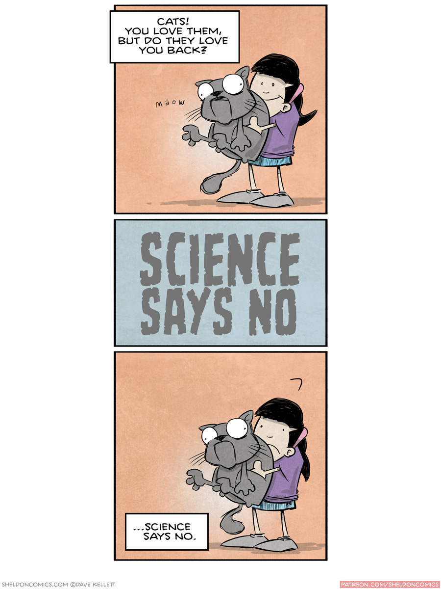 Cats - Sheldon® Comic Strip