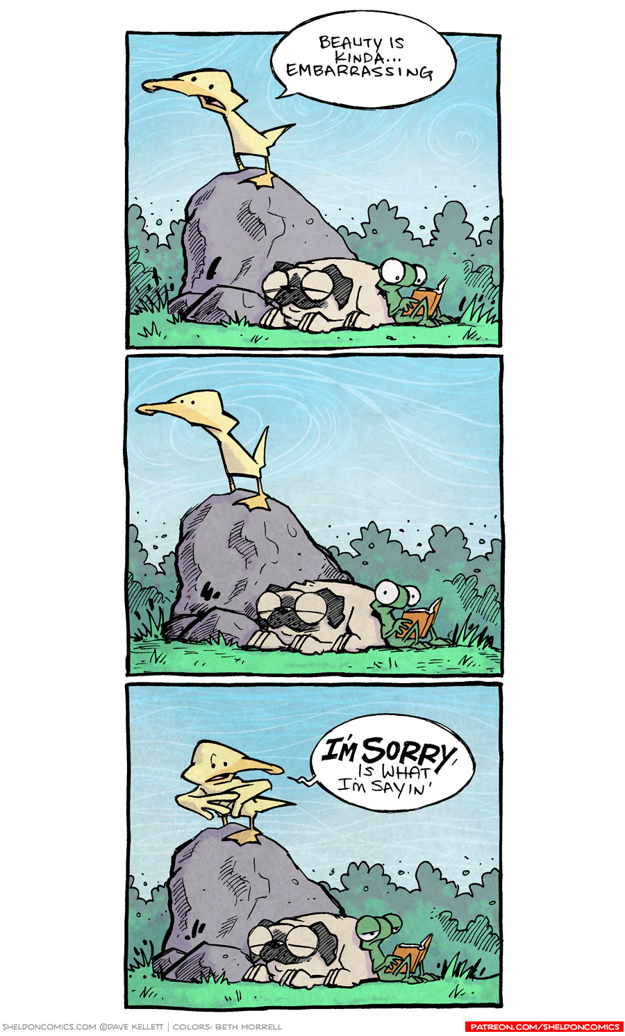 Beauty is Embarrassing - Sheldon® Comic Strip