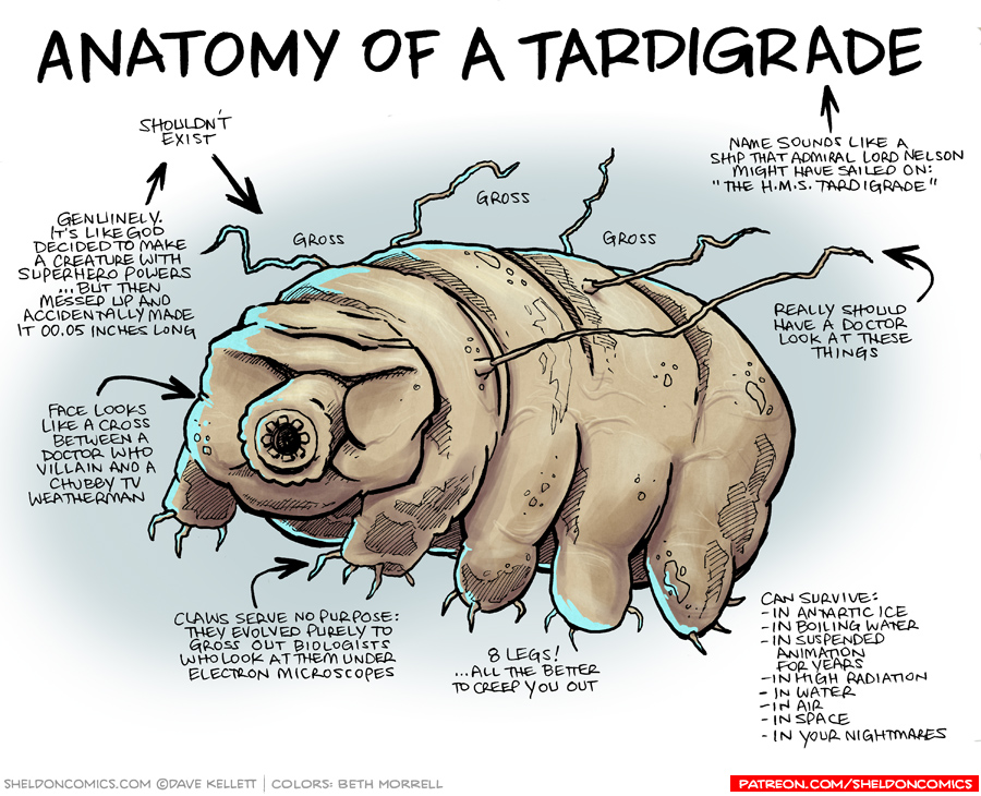 Anatomy of a Tardigrade - Sheldon® Comic Strip