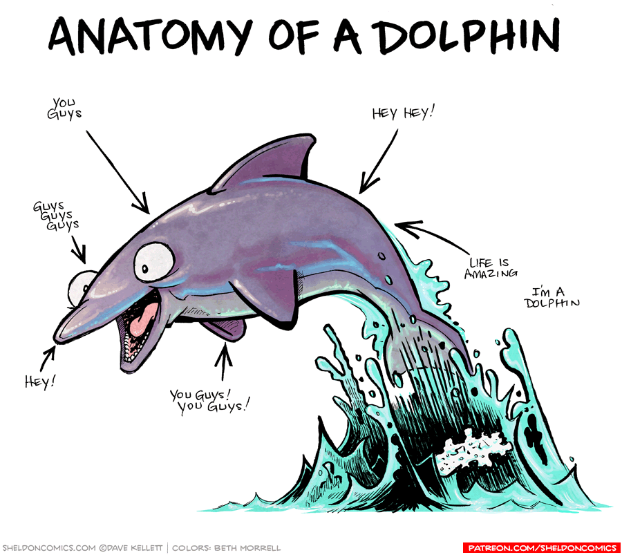 Anatomy of a Dolphin - Sheldon® Comic Strip