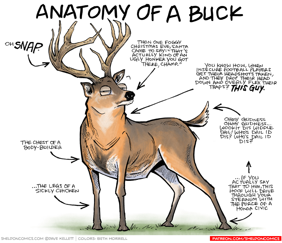 Anatomy of a Buck - Sheldon® Comic Strip